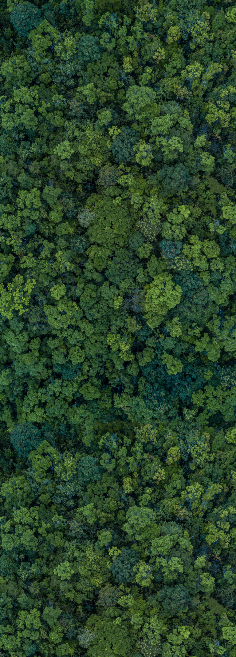 Anaergia S.r.l. to Provide Advanced Technologies for New Anaerobic ...